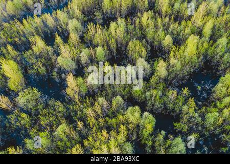 Spring overflow landscape Stock Photo - Alamy