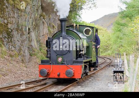 Talyllyn Railway train with loco No 7 "Tom Rolt" pulls into Rhydyronen ...