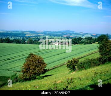 Wye Valley Walk near Ross on Wye, Herefordshire Stock Photo - Alamy