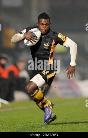 Christian Wade, Wasps Stock Photo - Alamy