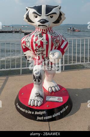 Bucky Badger statue, Bucky on Parade, Madison, Dane County, Wisconsin ...