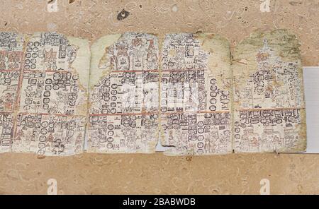 Maya codex reproduction exhibited at Maya museum, Merida, Yucatan ...