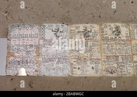 Maya codex reproduction exhibited at Maya museum, Merida, Yucatan ...