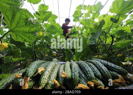 Handa, Handa, China. 27th Mar, 2020. Hebei, CHINA-In the middle of ...