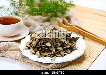 Loquat leaf herb Chinese herbal plant medicine. Treats coughs ...