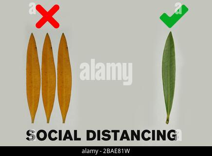 Social Distancing Idea, example, creative or social message to prevent ...