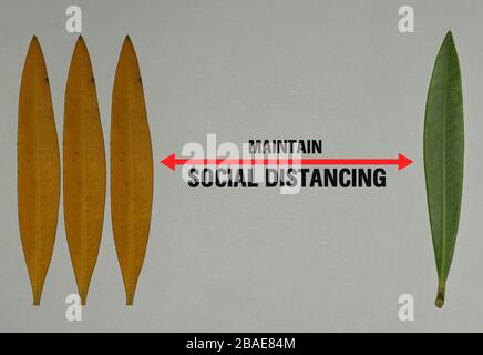 Social Distancing Idea, example, creative or social message to prevent ...