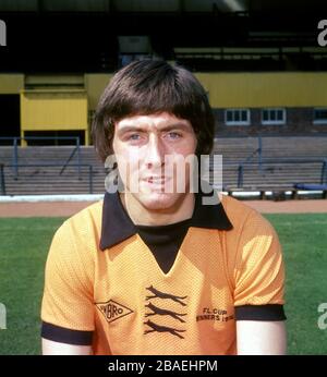 John Richards, Wolverhampton Wanderers Stock Photo - Alamy