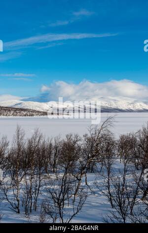 Frozen Tornetrask Lake in Abisko National Park, Sweden Stock Photo - Alamy