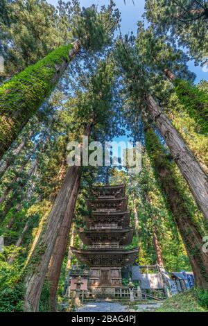 The five story pagoda at Hagurosan (Mount Haguro) in Tsuruoka, Yamagata ...