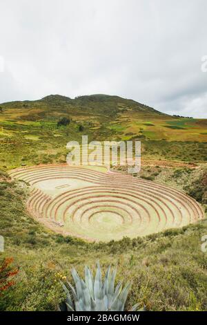 The scenic Moray Ruins in Peru Stock Photo - Alamy