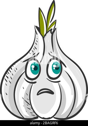 Sad garlic, illustration, vector on white background Stock Vector Image ...
