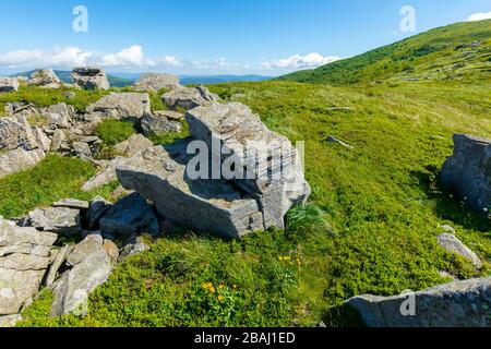 rocks on the alpine hillside meadow. beautiful summer nature scenery ...