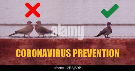 Creative of Social Distancing or Social distancing Idea or example to ...