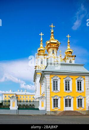 Russian Federation. Saint-Petersburg. Summer, June. Shuvalov Park ...
