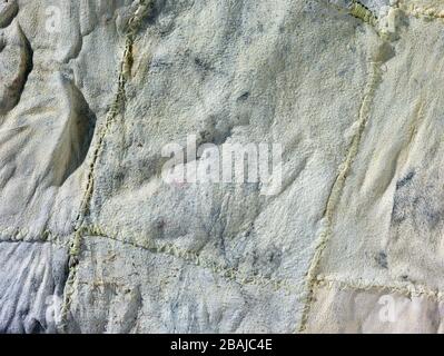 Abstract background texture of Chamois, Shami, leather cloth Stock ...