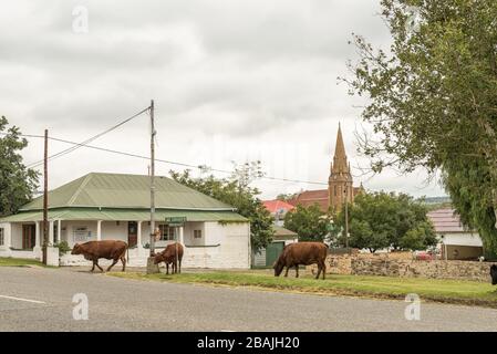 WINBURG, SOUTH AFRICA - MARCH 1, 2020: A small supermarket in Winburg ...