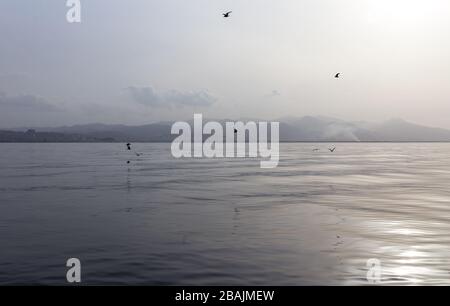 Foggy day, seaview, Aegean sea of Izmir, Turkey Stock Photo - Alamy