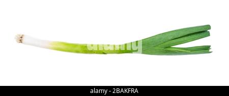 Fresh green garlic isolated on white background. Chopped green garlic ...