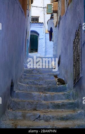 The Kasbah, Chefchaouen, the blue pearl, village northeast of Morocco ...