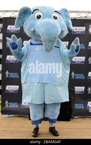 Coventry City mascot Sky Blue Sam before the game Stock Photo - Alamy
