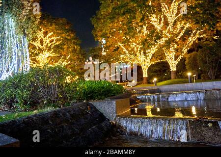 Trees foliage reflecting night lights in darkness Stock Photo - Alamy
