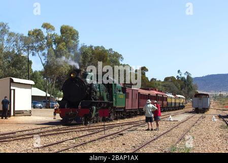 Heritage steam locomotive on the Pichi Richi Railway Quorn Flinders ...