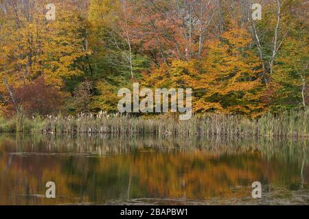 Autumn in the Catskill Mountains - Snake Pond near Andes NY Stock Photo ...