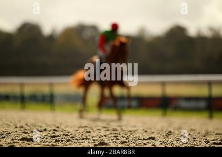 Runners and riders go to post ahead of the CLH Premier Print Maiden ...
