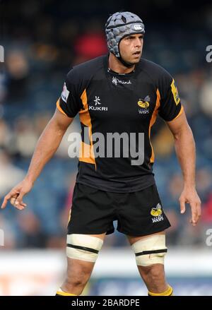 Marco Wentzel, London Wasps Stock Photo - Alamy