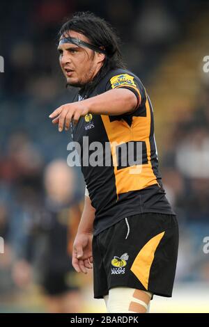 Jonathan Poff, London Wasps Stock Photo - Alamy