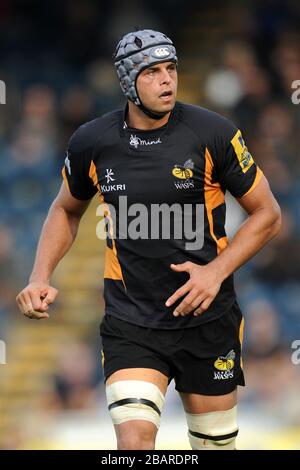 Marco Wentzel, London Wasps Stock Photo - Alamy