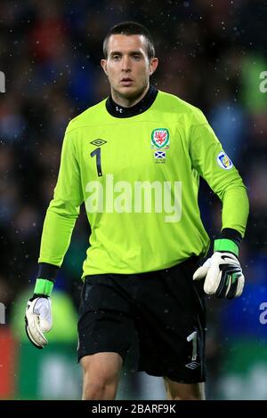 Lewis Price, Wales goalkeeper Stock Photo - Alamy