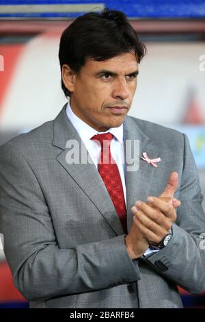 Chris Coleman, Wales manager Stock Photo - Alamy