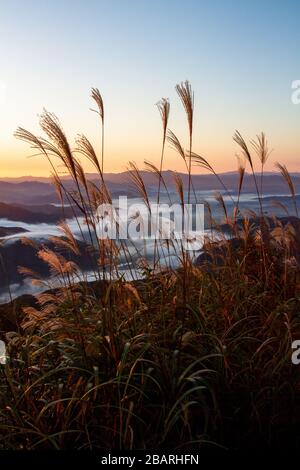 Hyogo Prefecture Landscapes: Morning view from Maya Sukuji-tai ...
