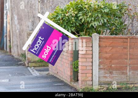 Covid, pandemic and real estate concept. Excited young man in medical ...