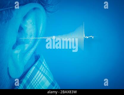 Anatomy of the human ear Stock Photo - Alamy