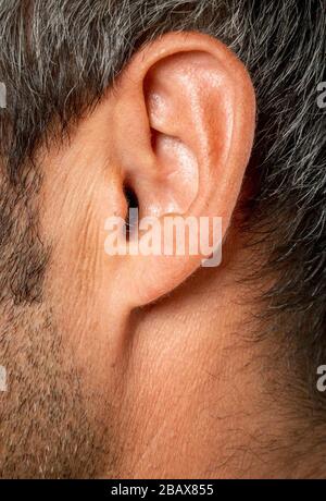 human ear detail macro close-up Stock Photo - Alamy