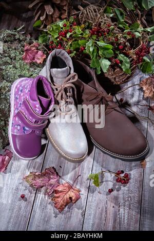 ancient cobbler workshop with wooden shoe molds lined in a row in ...