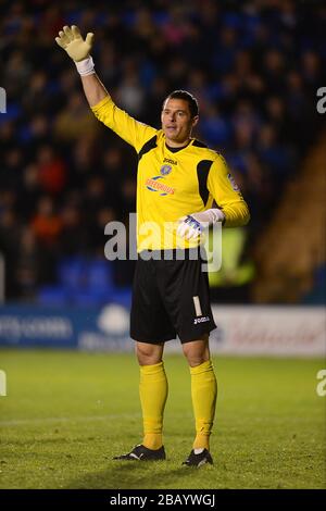 Chris Weale, Shrewsbury Town Stock Photo - Alamy