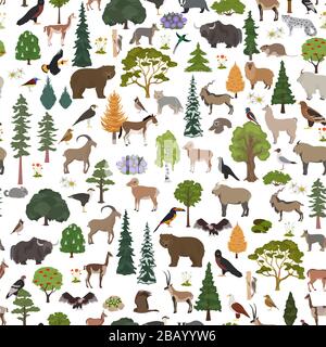 Montane forest biome, natural region infographic. Terrestrial ecosystem ...