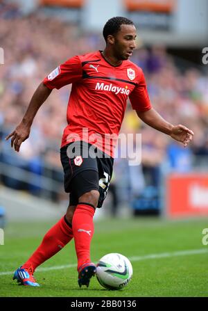 Cardiff City's Nicky Maynard Stock Photo - Alamy