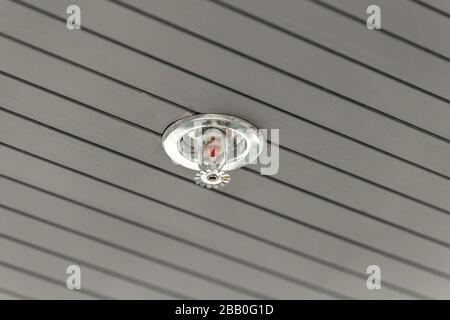 Smoke detector and pendent fire sprinkler on a ceiling Stock Photo - Alamy