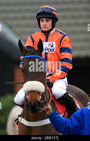 Jockey Joseph Cornwall on Ziggie Stock Photo - Alamy