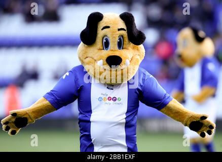 Birmingham City mascot Beau Brummie Stock Photo - Alamy