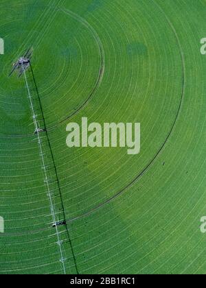 Aerial of irrigated lucerne hay growing in Goovigen Central Queensland ...
