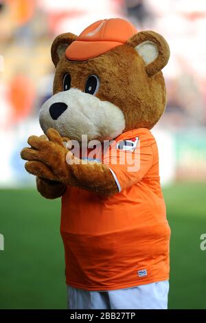 Bloomfield Bear, Blackpool mascot Stock Photo - Alamy