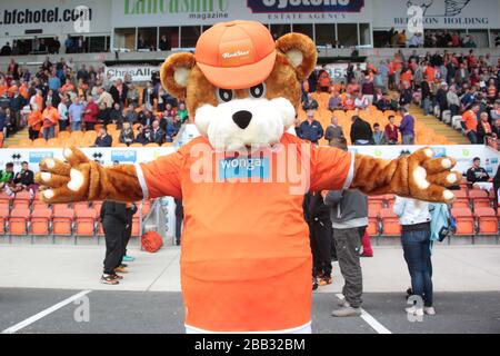 Blackpool mascot Bloomfield Bear Stock Photo - Alamy