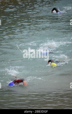 Triathletes swimming in a swamp in a triathlon Stock Photo - Alamy