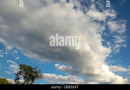 Thunderstorm cloud buildup over the Highveld region of South Africa in ...